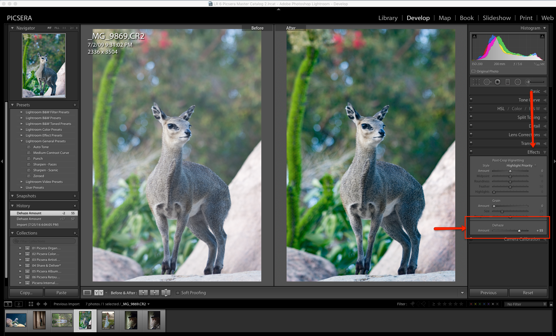 #TipTuesday- Using Dehaze Filter to Improve Your Images